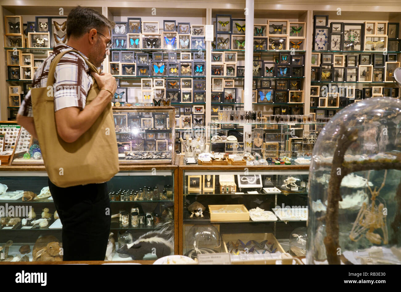 Customers inside of the Evolution Store in Soho.Lower Manhattan.New ...