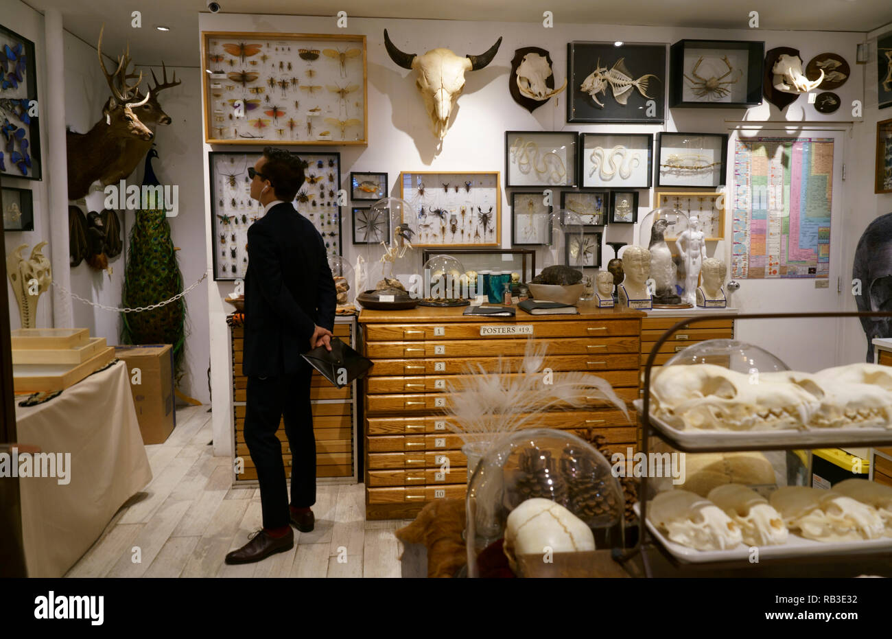 Customers inside of the Evolution Store in Soho.Lower Manhattan.New ...