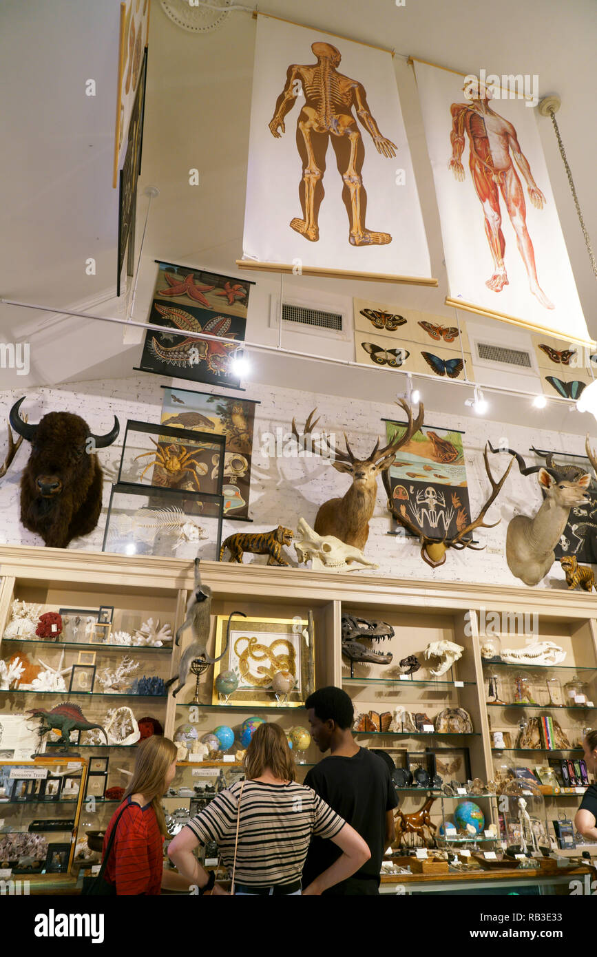 The Evolution Store in Soho.Lower Manhattan.New York City.NY.USA Stock ...