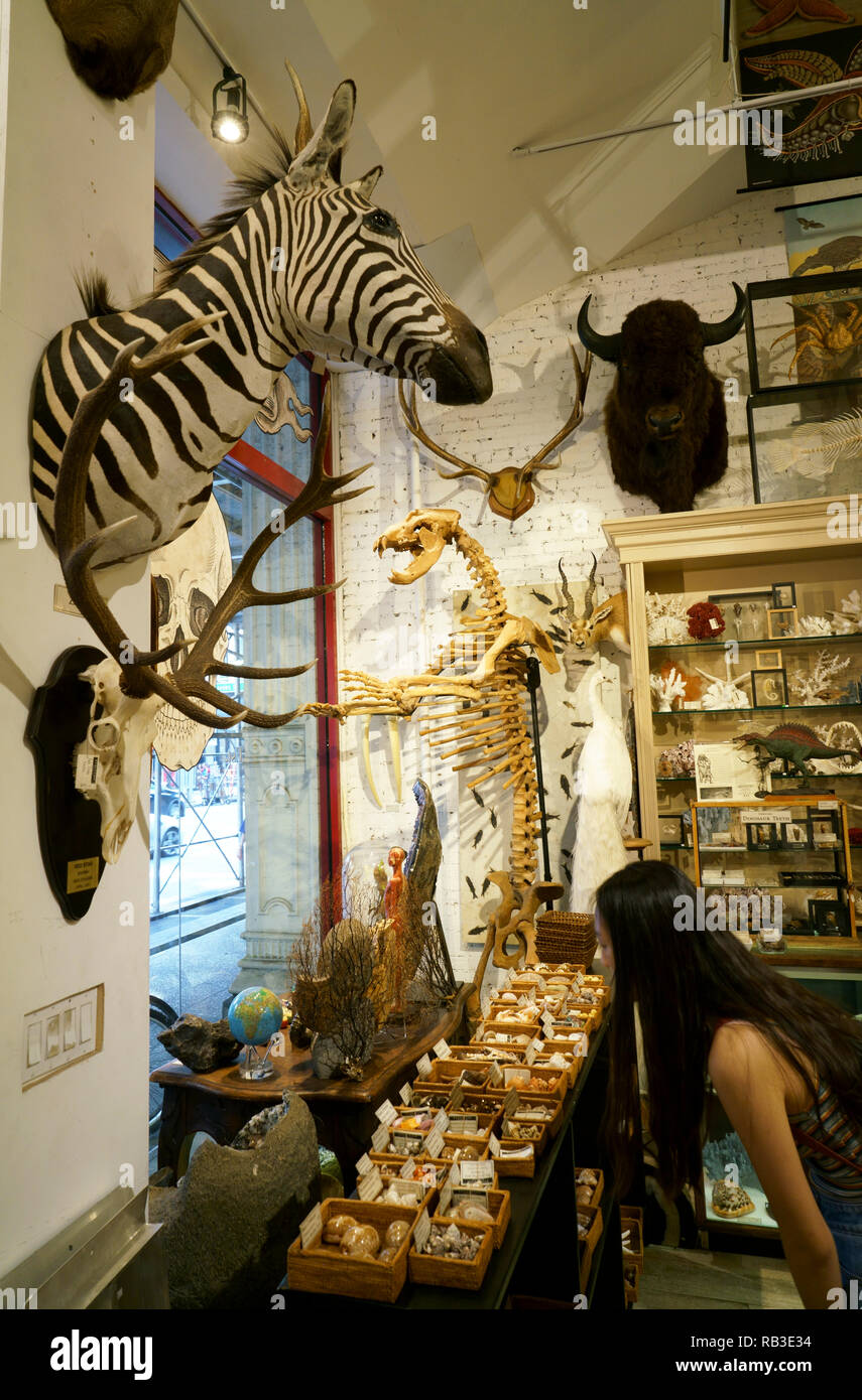Evolution store in new york hi-res stock photography and images - Alamy