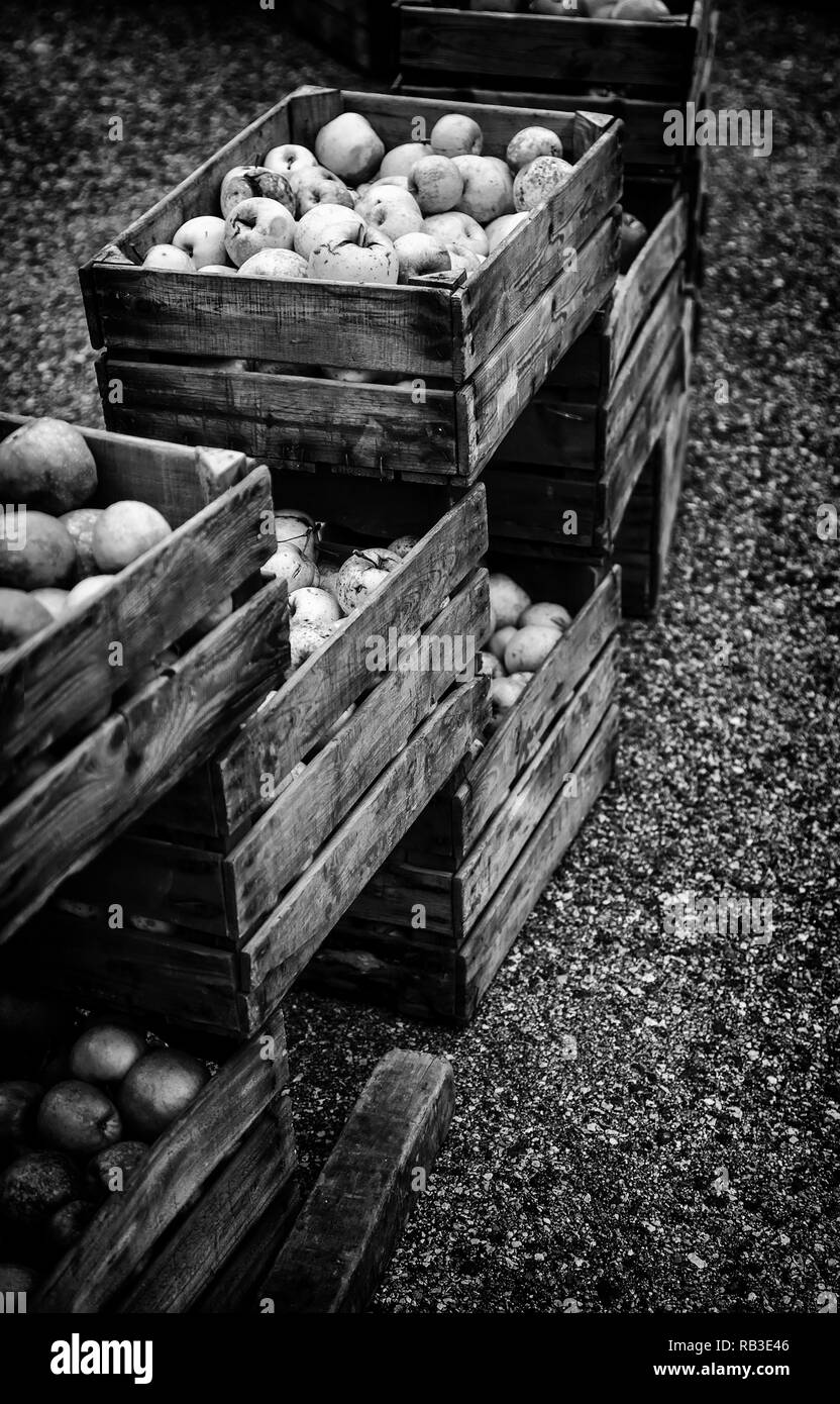 Apple boxes Black and White Stock Photos & Images - Alamy