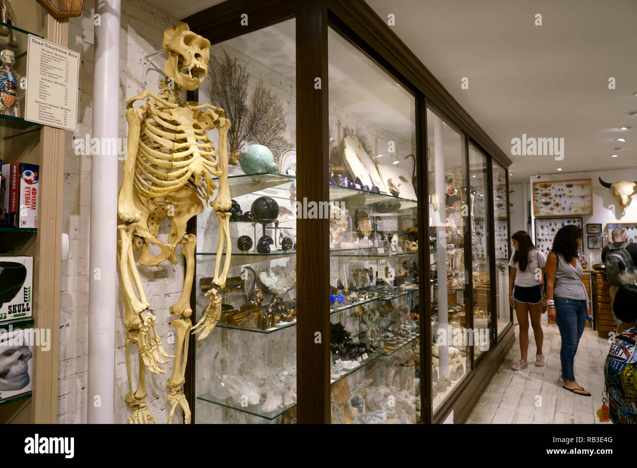 Customers inside of the Evolution Store in Soho.Lower Manhattan.New ...