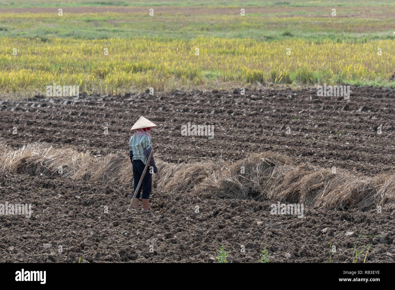 Tilling the earth hi-res stock photography and images - Alamy