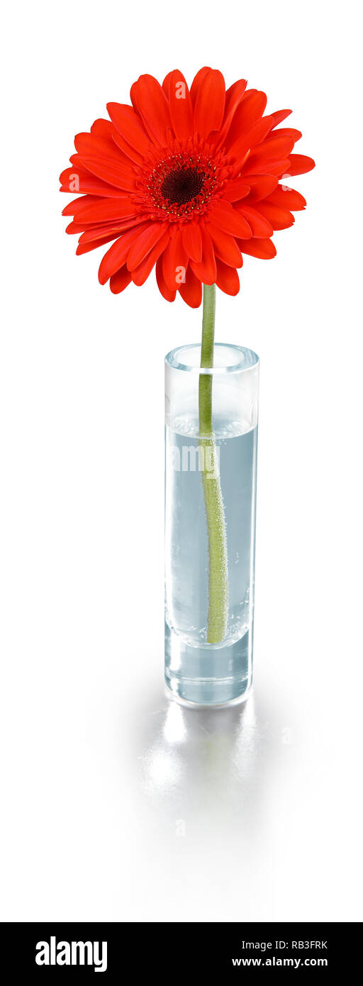 Path in romantic garden Cut Out Stock Images & Pictures - Alamy