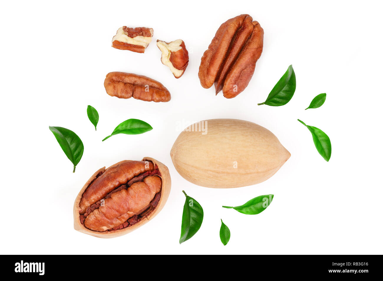 pecan nut decorated with green leaves isolated on white background. Top ...