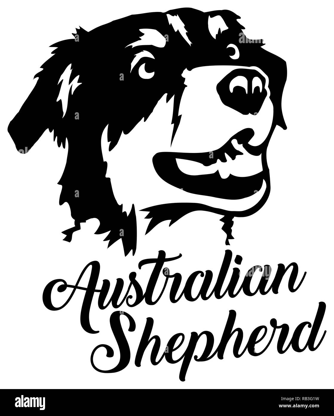 Australian shepherd dog isolated head Stock Vector Images - Alamy