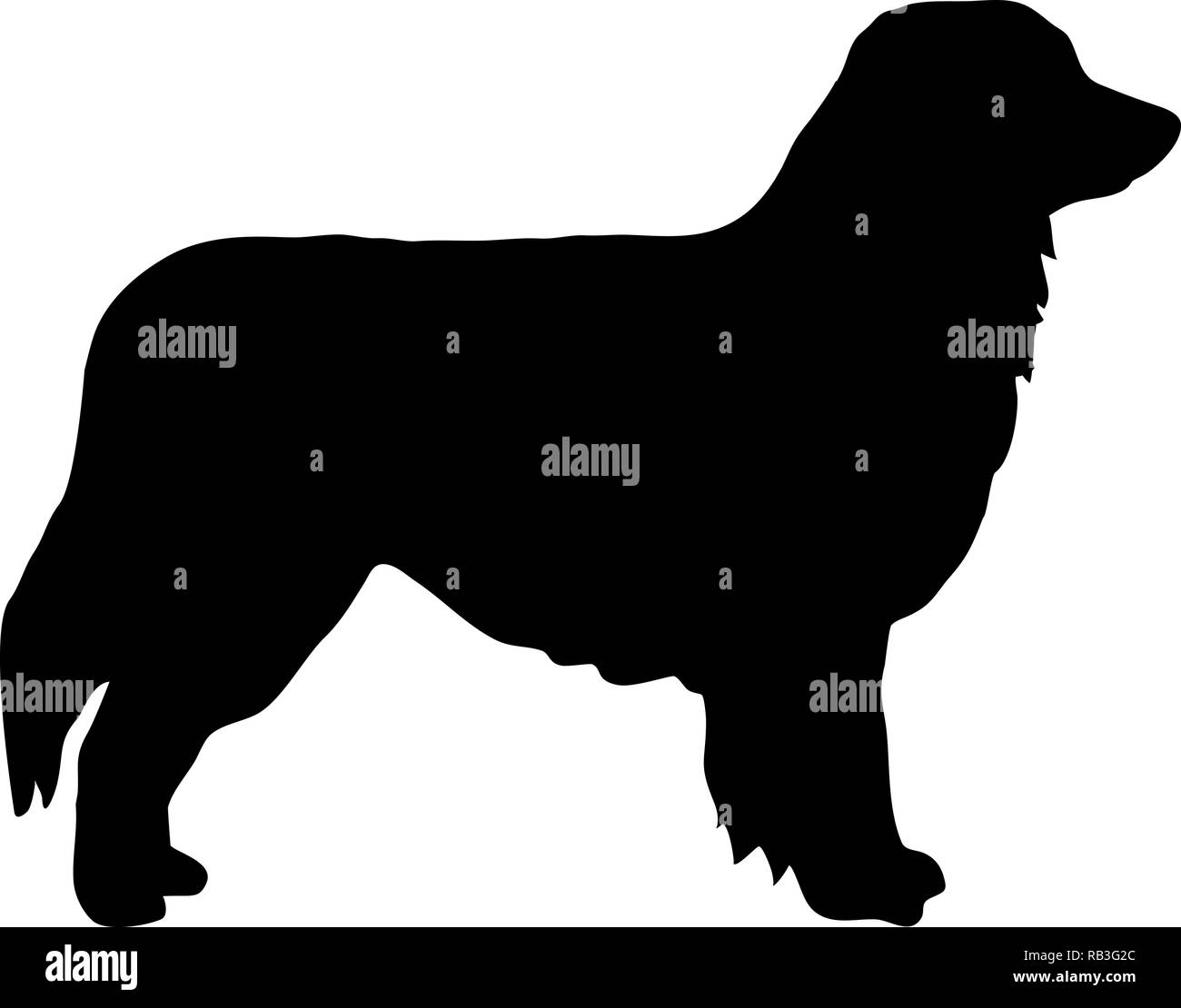 Australian shepherd Stock Vector Images - Alamy