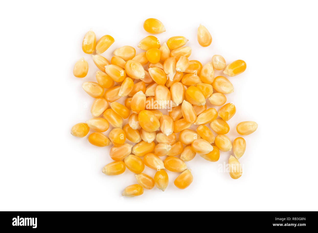 The corn seeds isolated on white background. Top view. Flat lay Stock ...