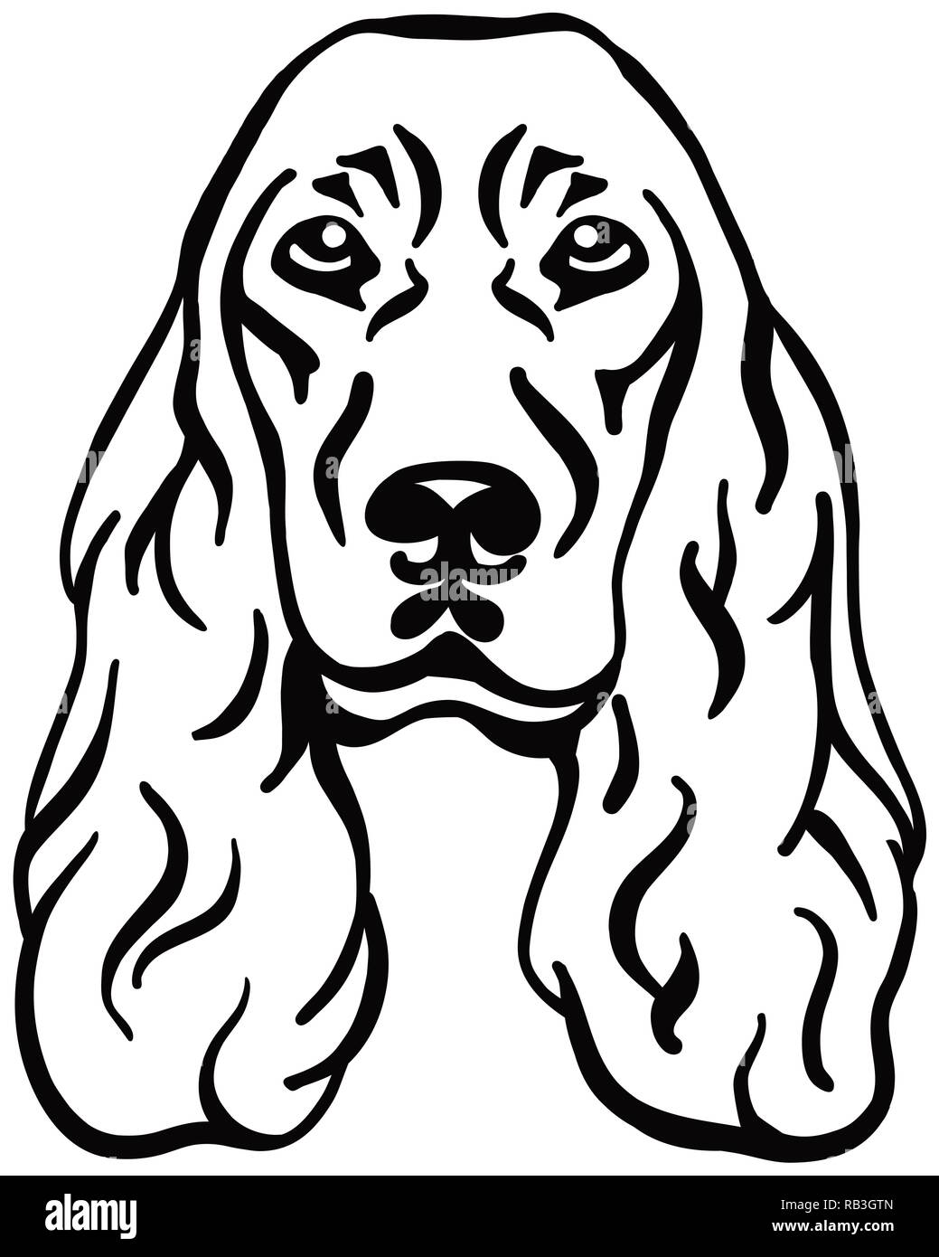 Spaniel dog head Stock Vector Images - Alamy