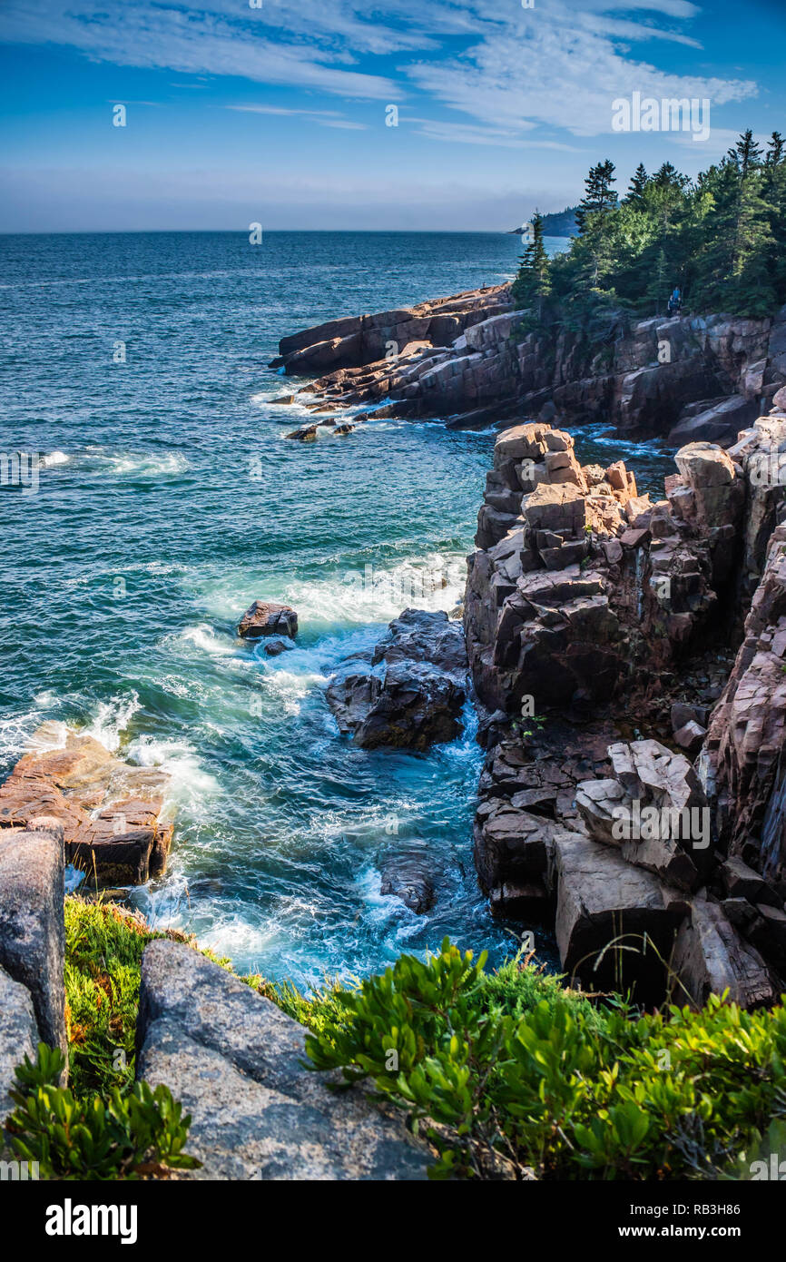 The Ocean Path Trail in Acadia National Park, Maine Stock Photo - Alamy