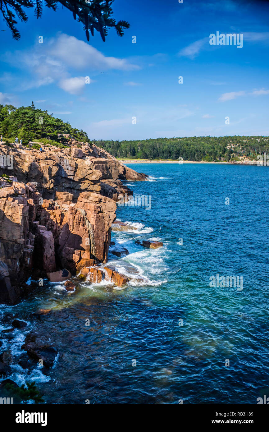 The Ocean Path Trail in Acadia National Park, Maine Stock Photo - Alamy