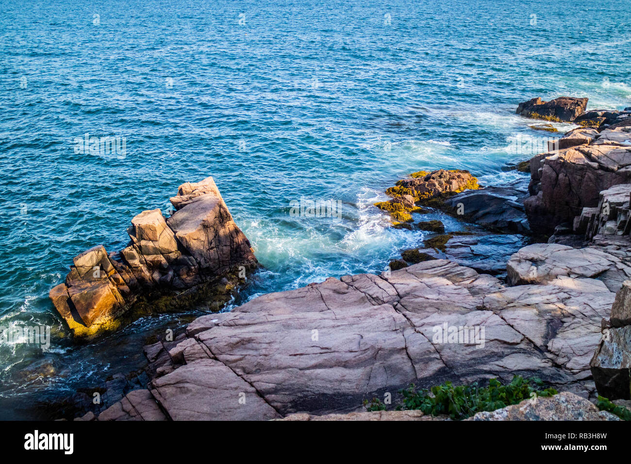 The Ocean Path Trail in Acadia National Park, Maine Stock Photo - Alamy