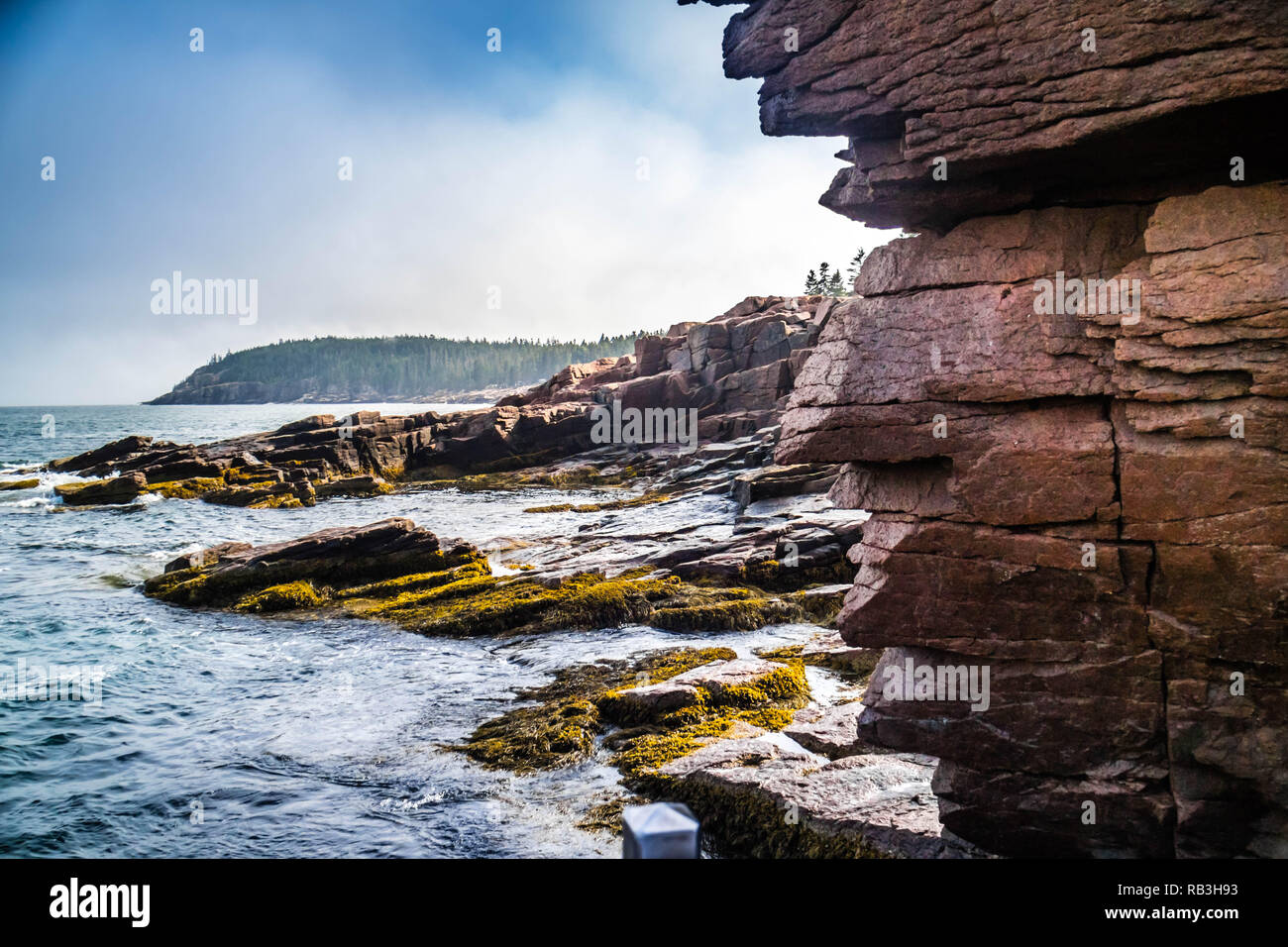 The Ocean Path Trail in Acadia National Park, Maine Stock Photo - Alamy