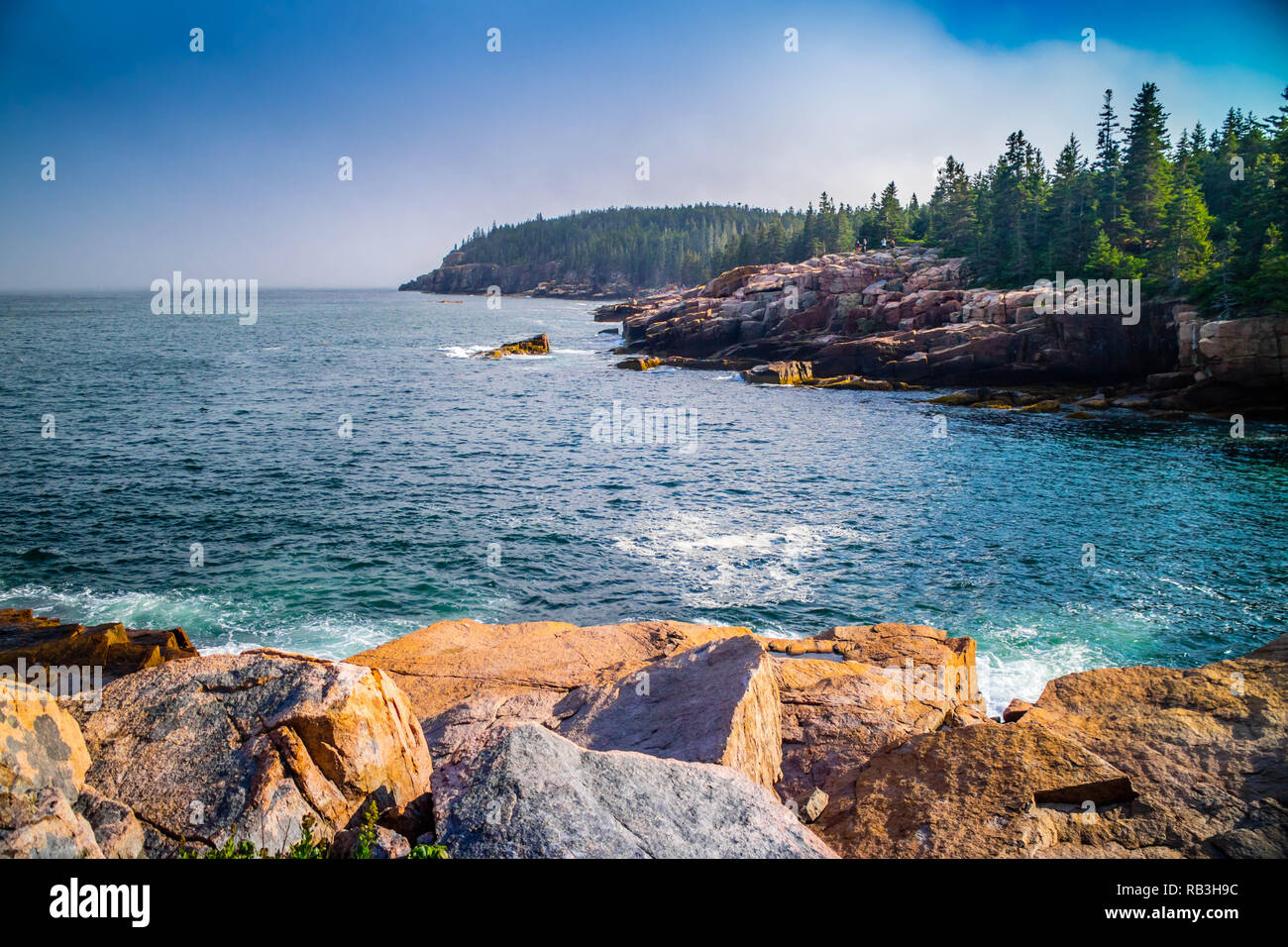 The Ocean Path Trail in Acadia National Park, Maine Stock Photo - Alamy