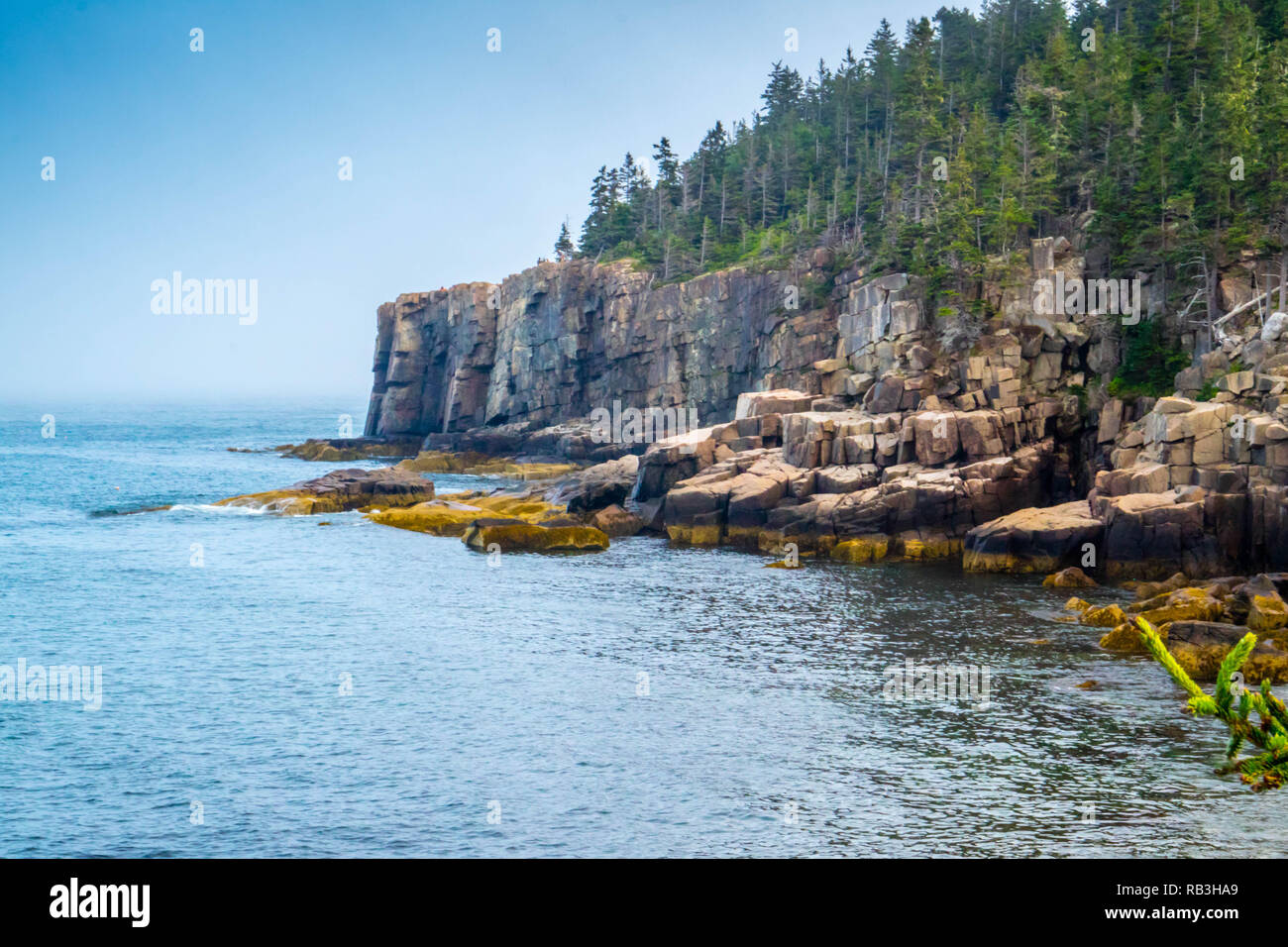 The famous Otter Cliff in Acadia National Park, Maine Stock Photo - Alamy