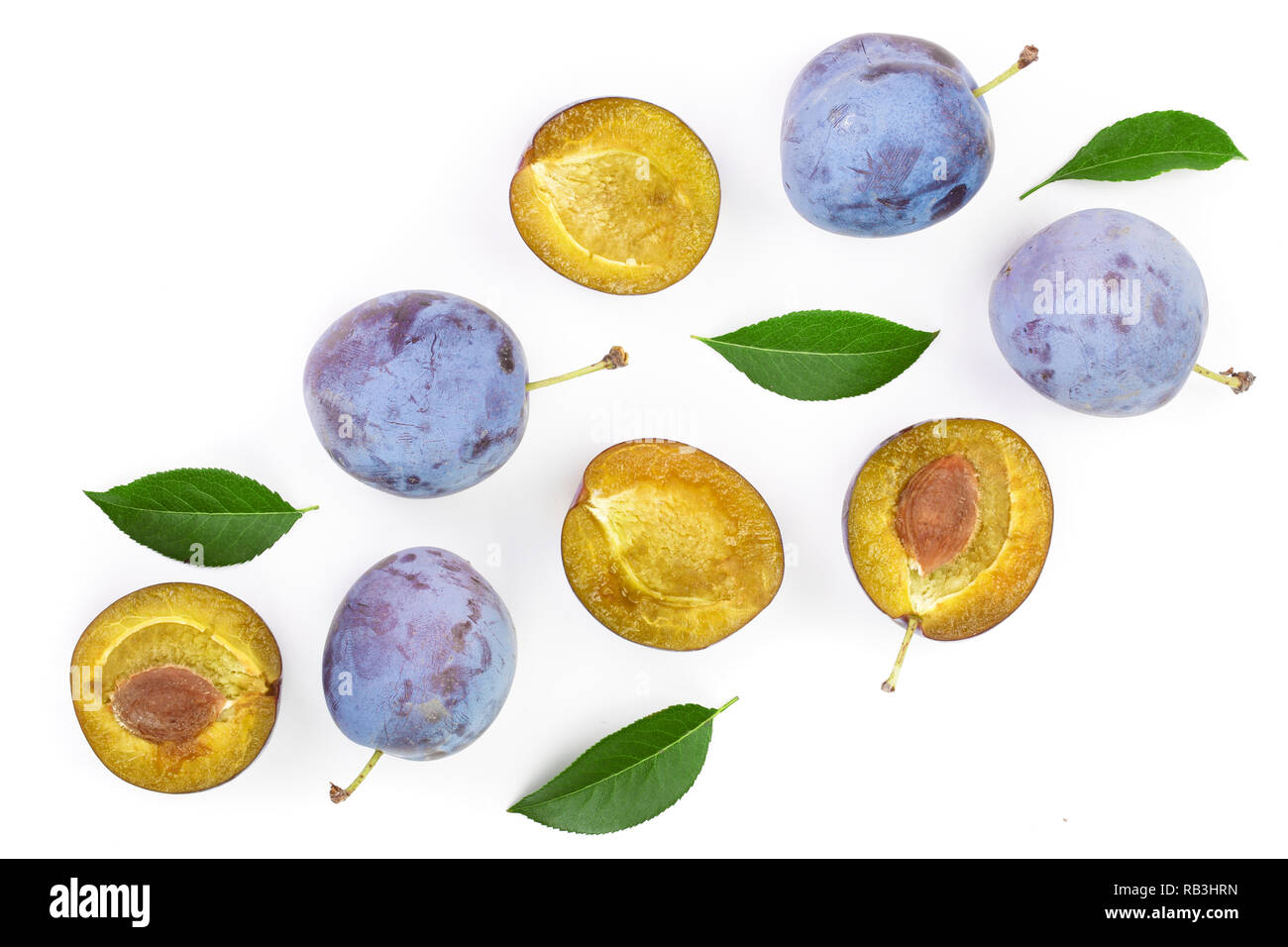 Prune leaf hi-res stock photography and images - Alamy