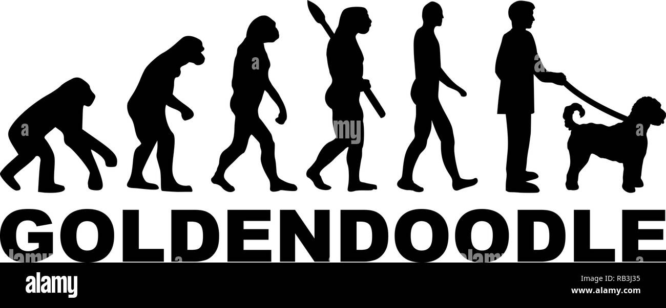 Goldendoodle Stock Vector Images - Alamy