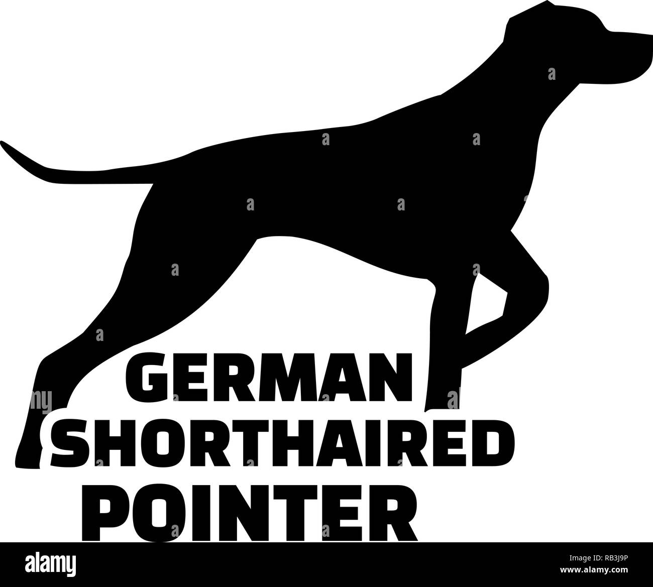 German shorthaired pointer Stock Vector Images - Alamy