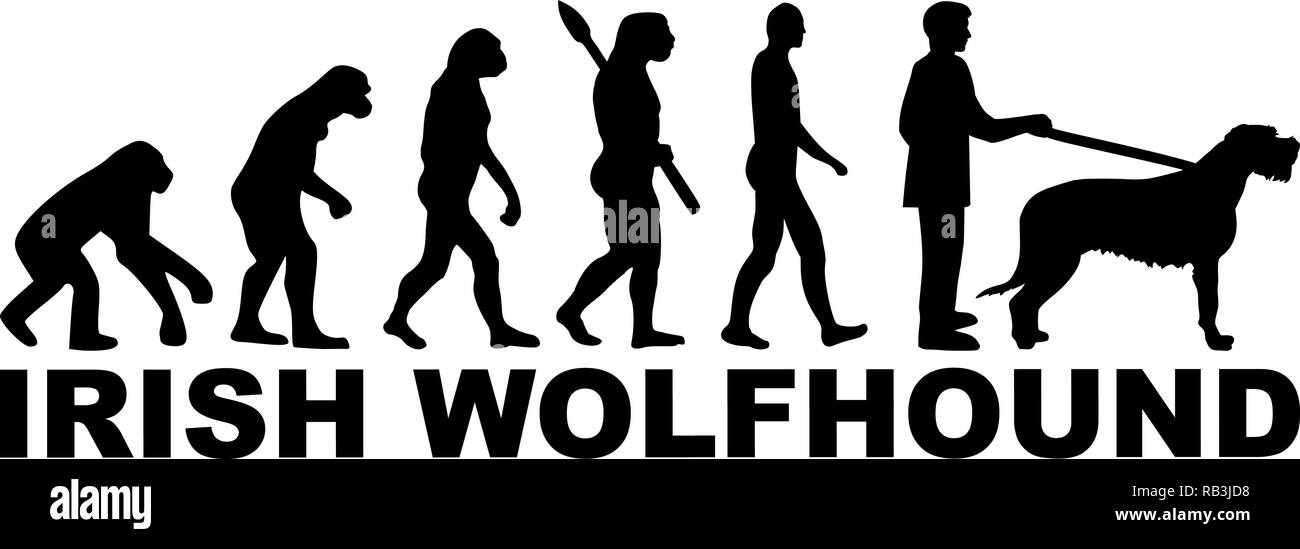 Irish evolution hi-res stock photography and images - Alamy