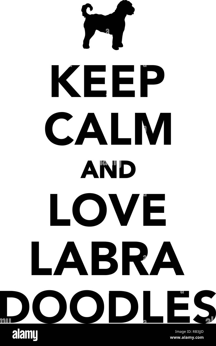 Labradoodles hi-res stock photography and images - Alamy