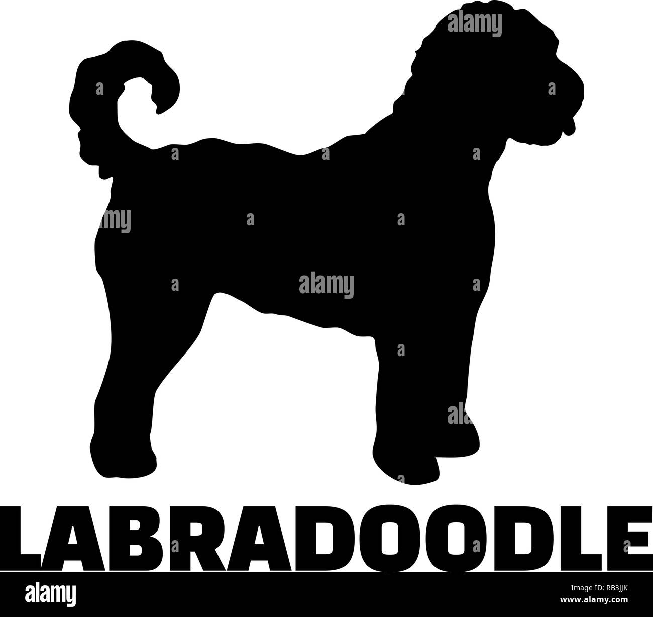 Labradoodle silhouette real with word Stock Vector Image & Art - Alamy