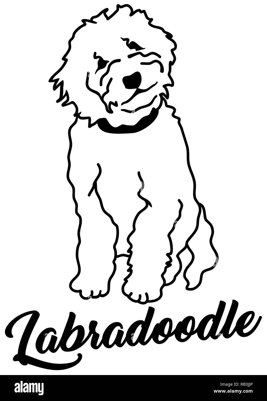 Labradoodle silhouette white with name Stock Vector Image & Art - Alamy