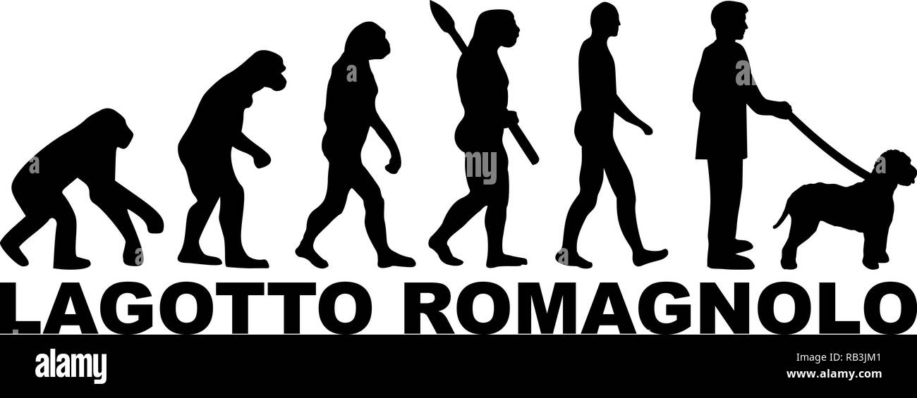 Lagotto Romagnolo evolution with word in black Stock Vector Image & Art ...