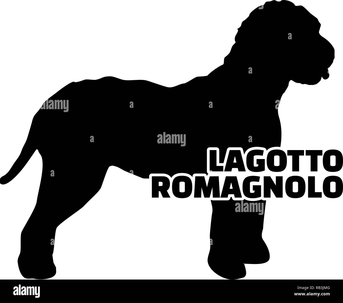 Lagotto Romagnolo silhouette real with word Stock Vector Image & Art ...