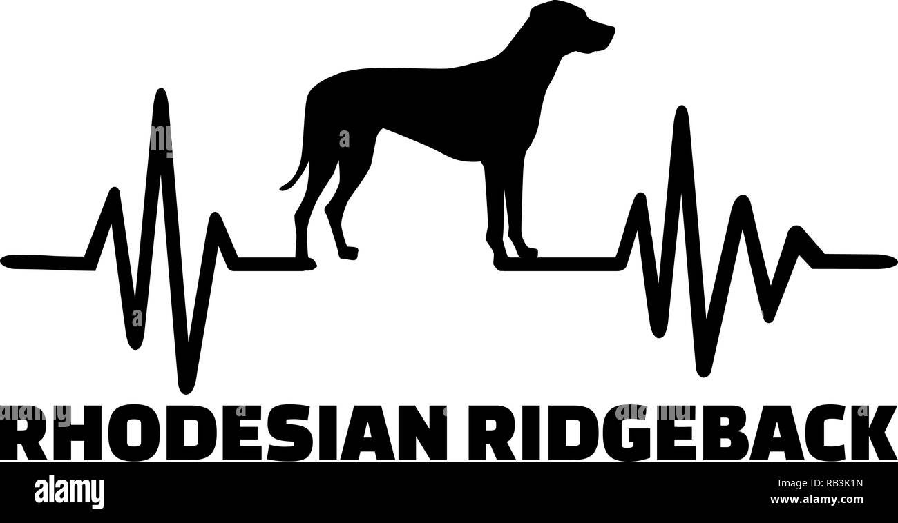 Heartbeat frequency with Rhodesian Ridgeback dog silhouette Stock ...