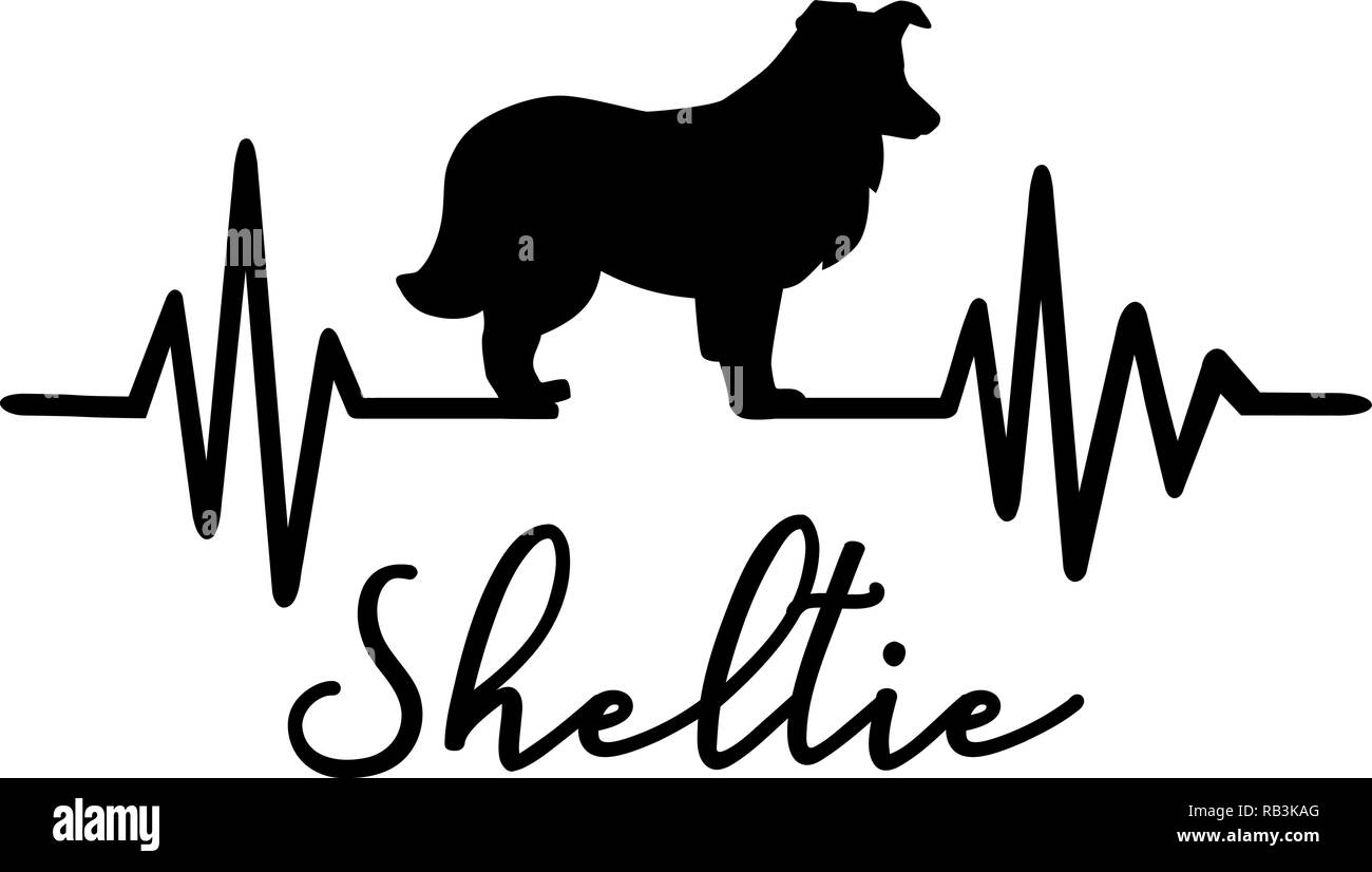 Shetland sheepdog dog silhouette hi-res stock photography and images ...