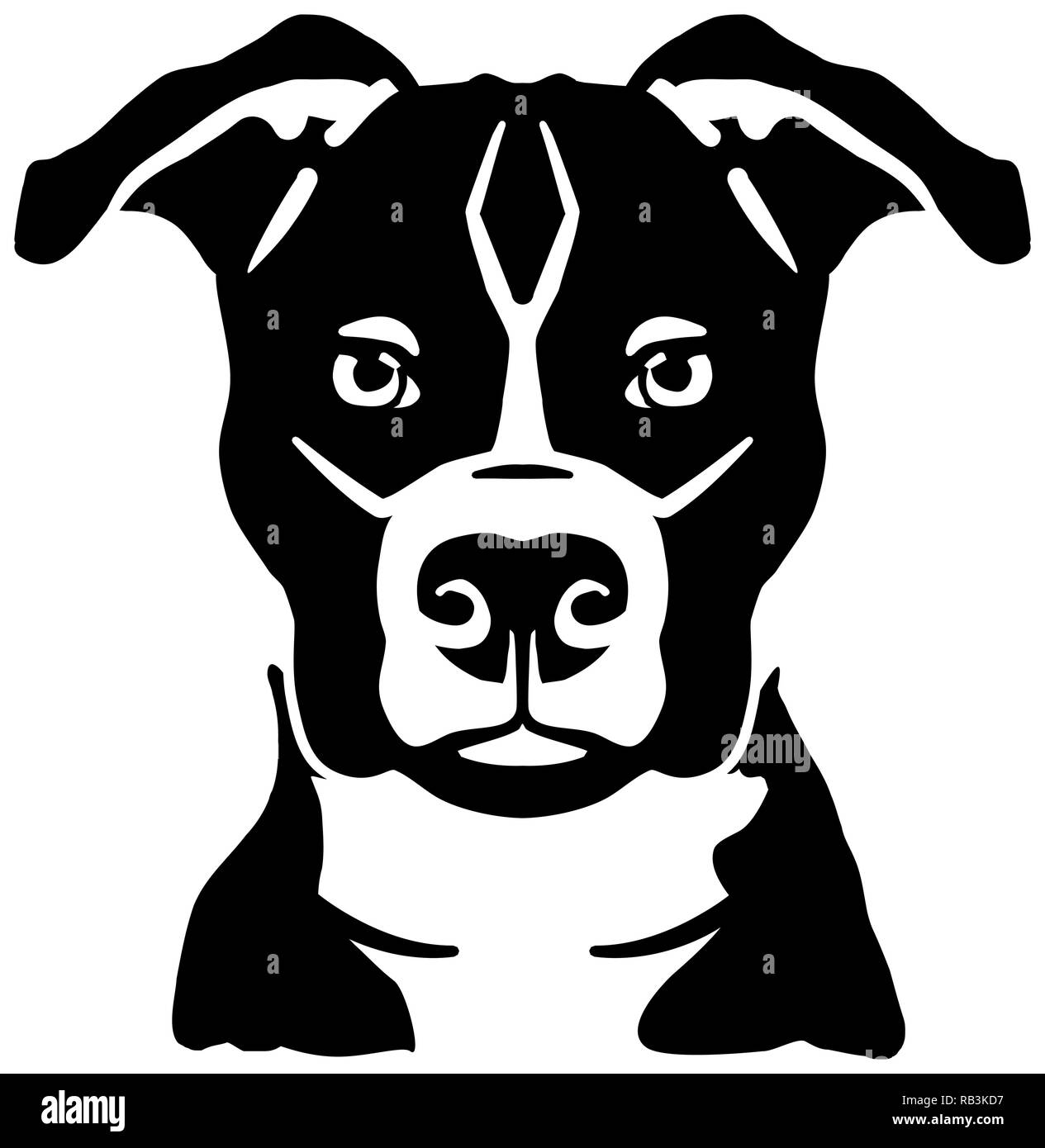 White staffordshire bull terrier Black and White Stock Photos & Images ...