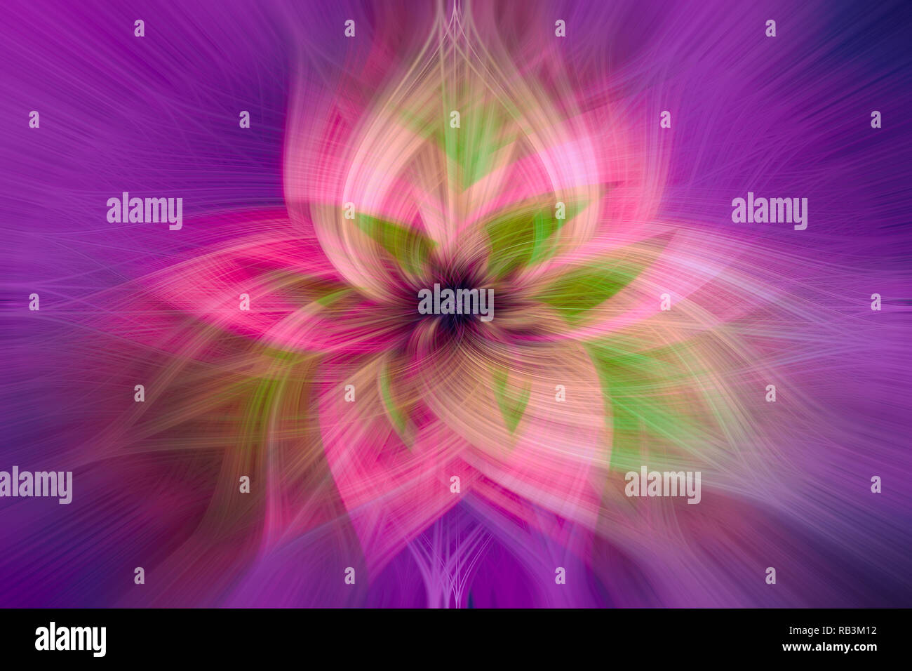 Symmetrical flower line hi-res stock photography and images - Alamy