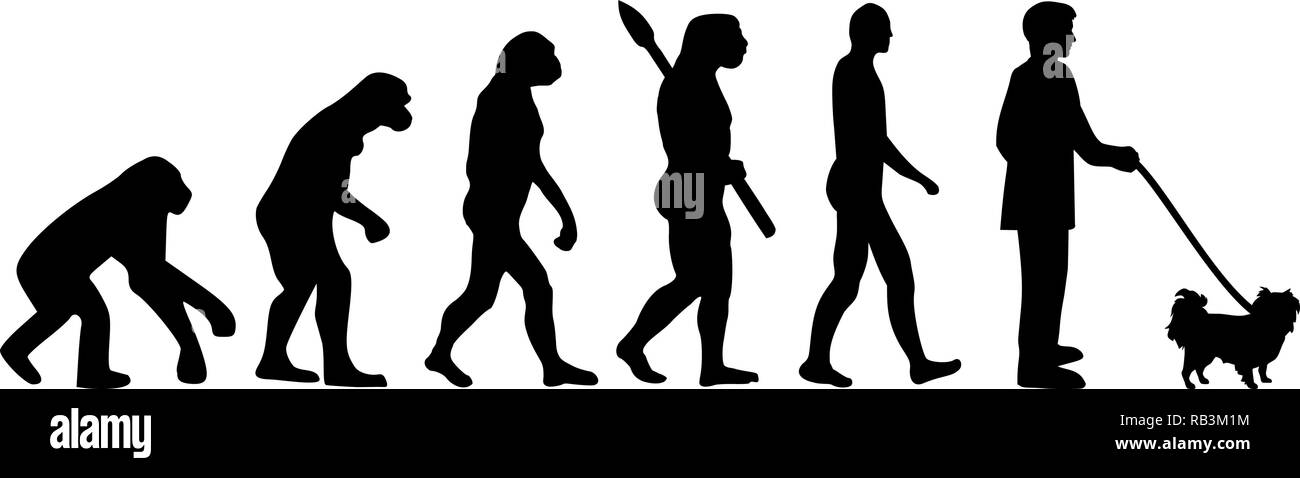 Japanese Chin evolution development with silhouette Stock Vector Image ...