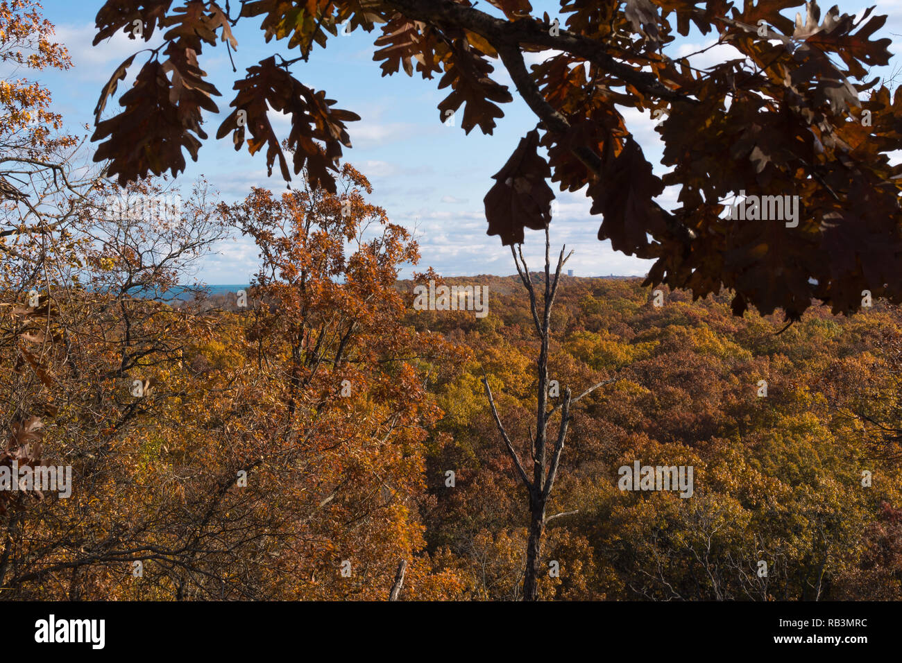 Autumn in Indiana Dunes State Park Stock Photo - Alamy