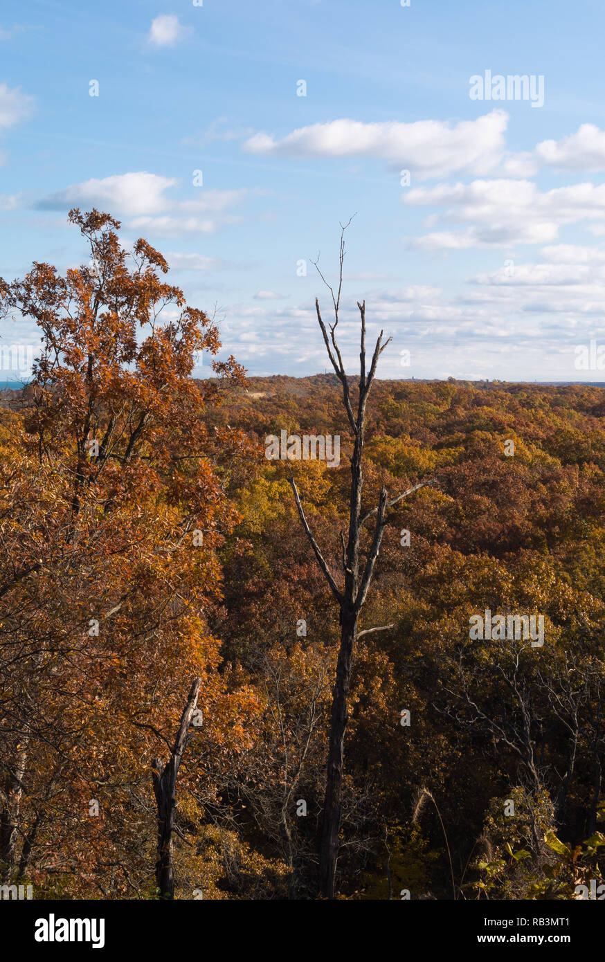 Autumn in Indiana Dunes State Park Stock Photo - Alamy