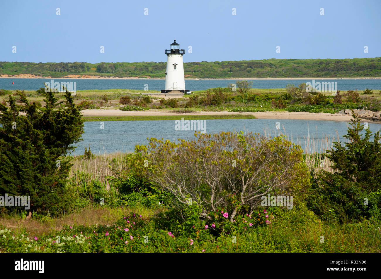 Edgartown lighthouse is surrounded by shrubs and wildflowers on Martha ...
