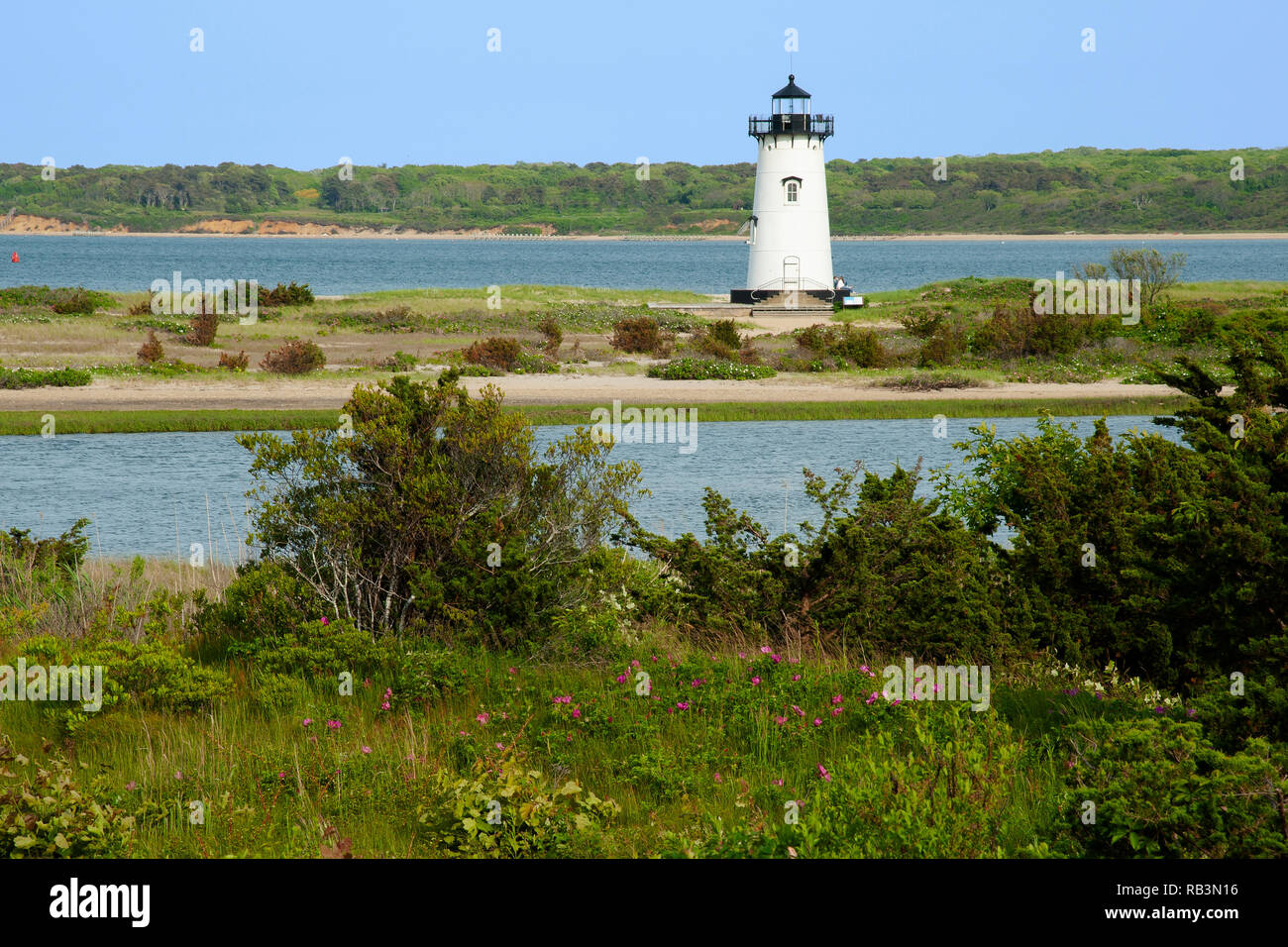 Marthas vineyard beach hi-res stock photography and images - Alamy
