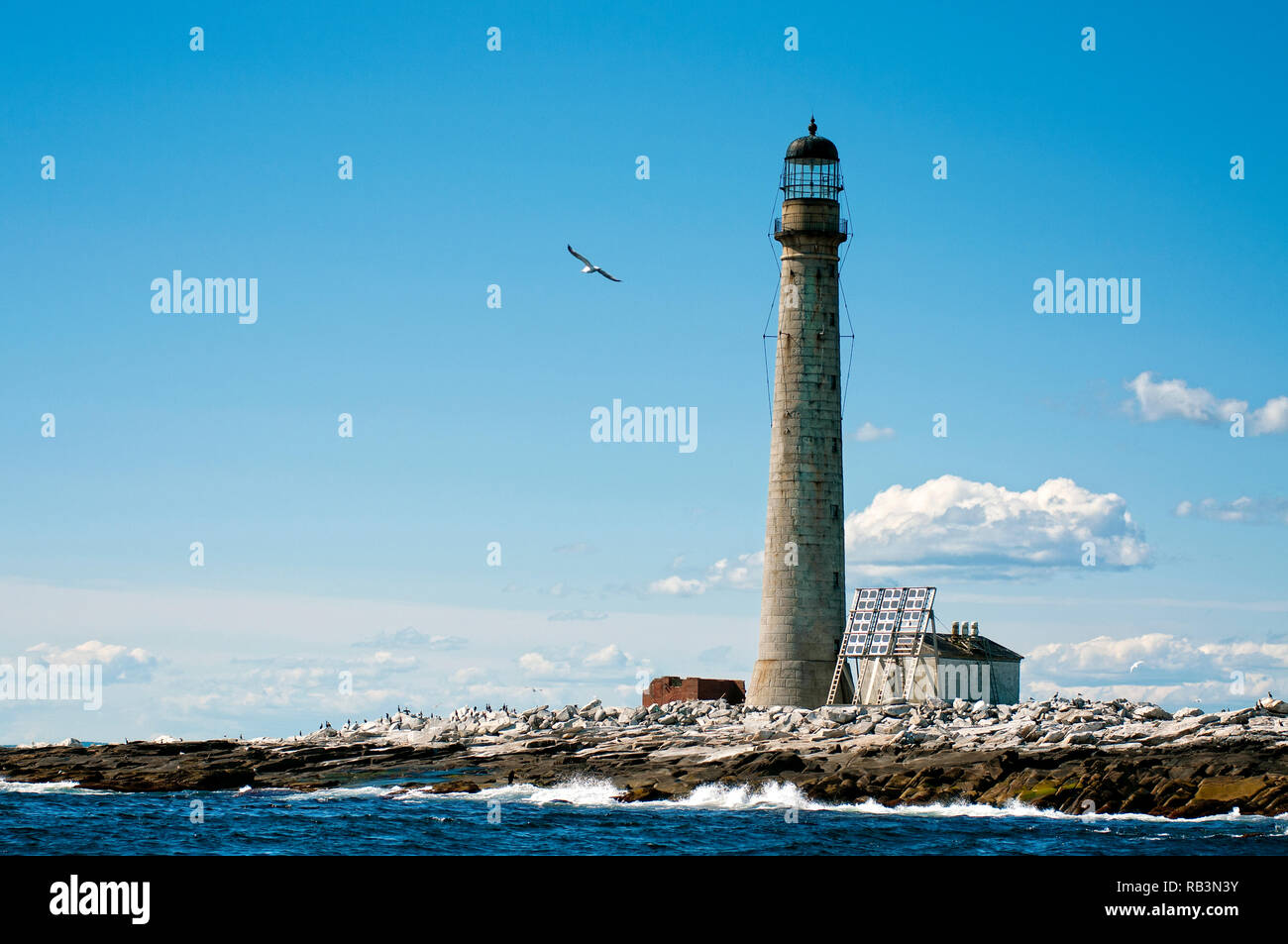 Seagull flies by the stone tower of Boon Island lighthouse, the tallest ...