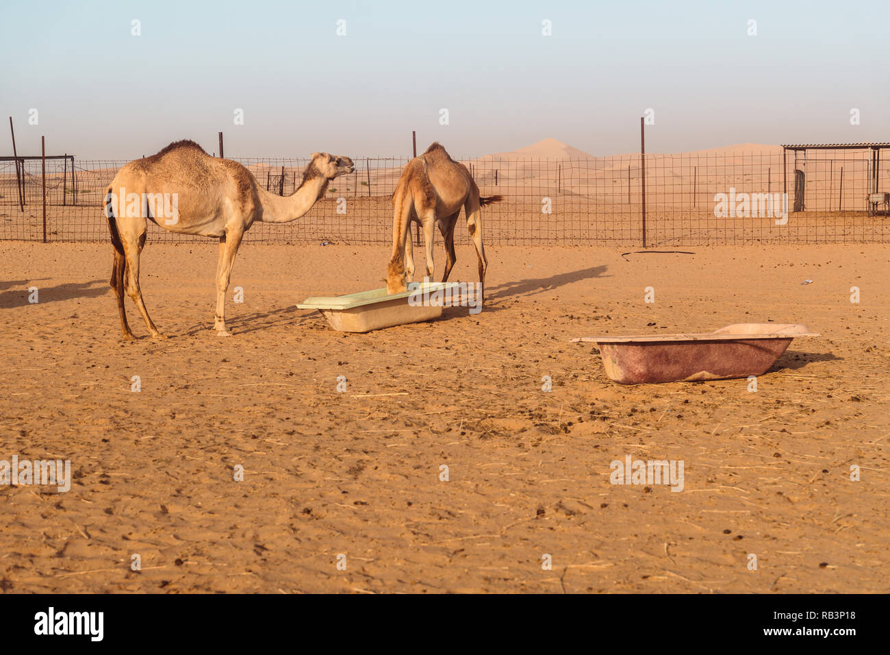 Al khatim desert hi-res stock photography and images - Alamy