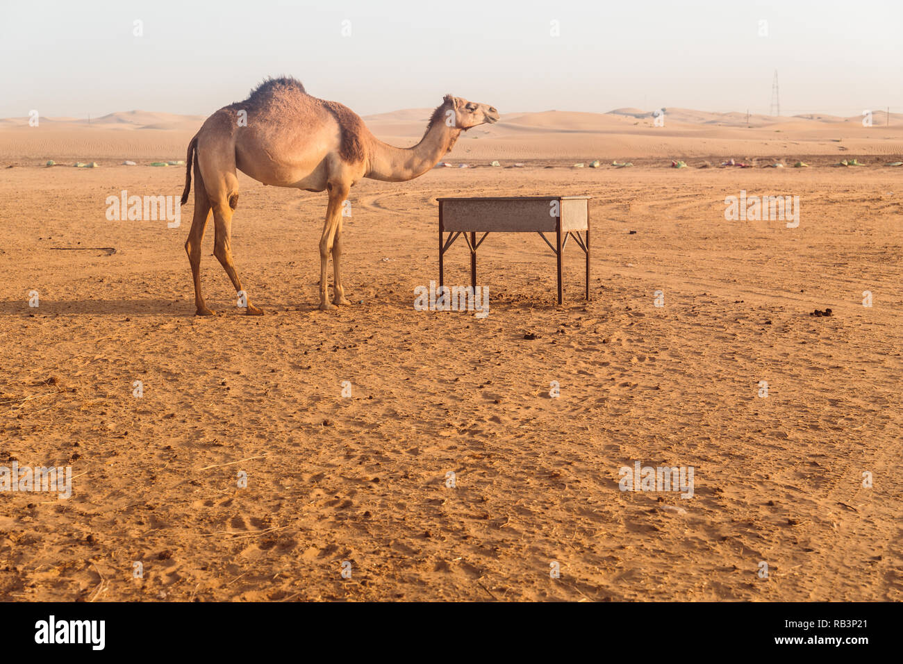 Al khatim hi-res stock photography and images - Alamy