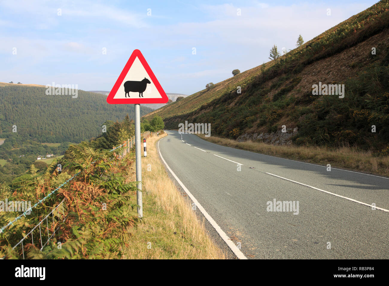 Sheep crossing sign hi-res stock photography and images - Alamy