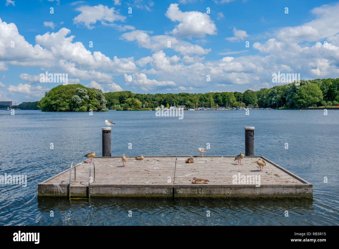 Amsterdam summer landscape hi-res stock photography and images - Alamy