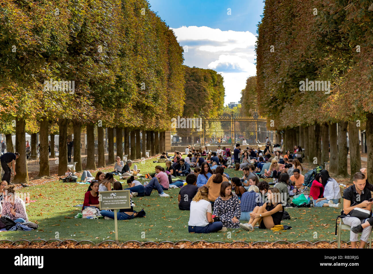 Sitting on the lawn at jardin du luxembourg gardens hi-res stock photography and images - Alamy