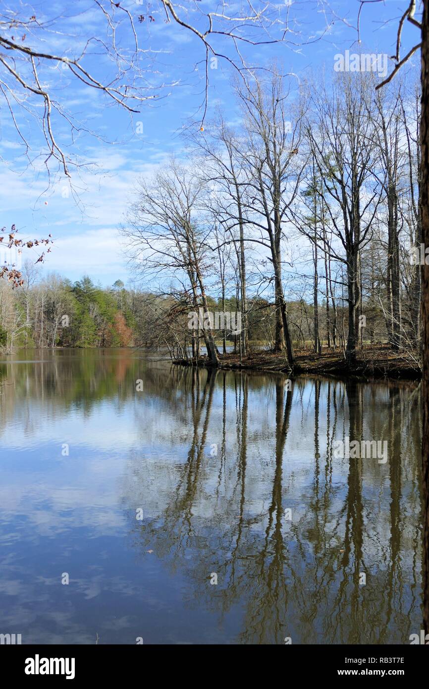 Reflections of the Winter Trees Stock Photo - Alamy