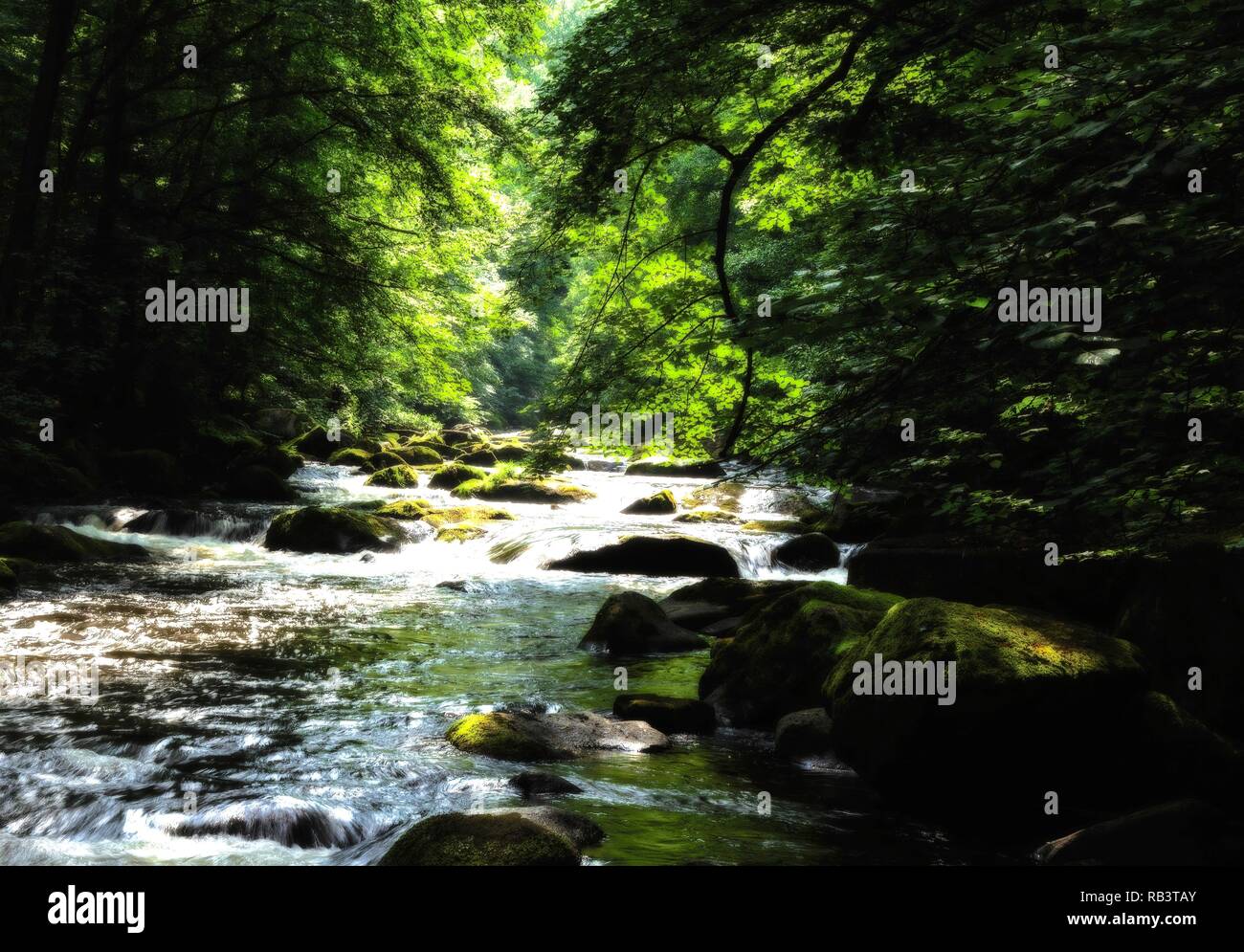 Weathered Riverrocks