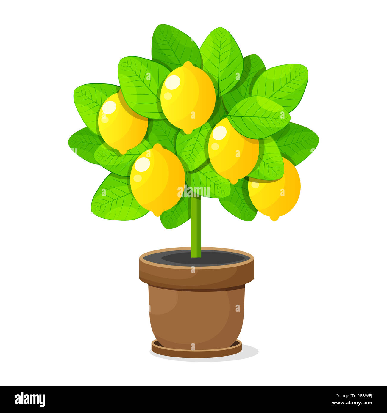 Lemon Tree Vector