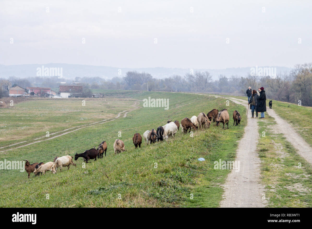 Serbian culture hi-res stock photography and images - Alamy