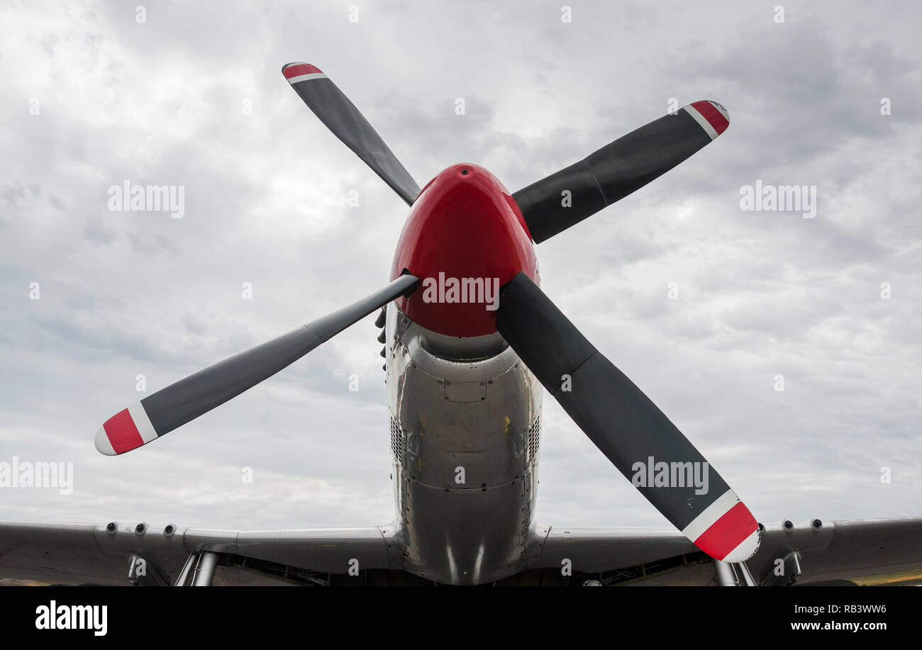 World war two p 51 mustang hi-res stock photography and images - Alamy