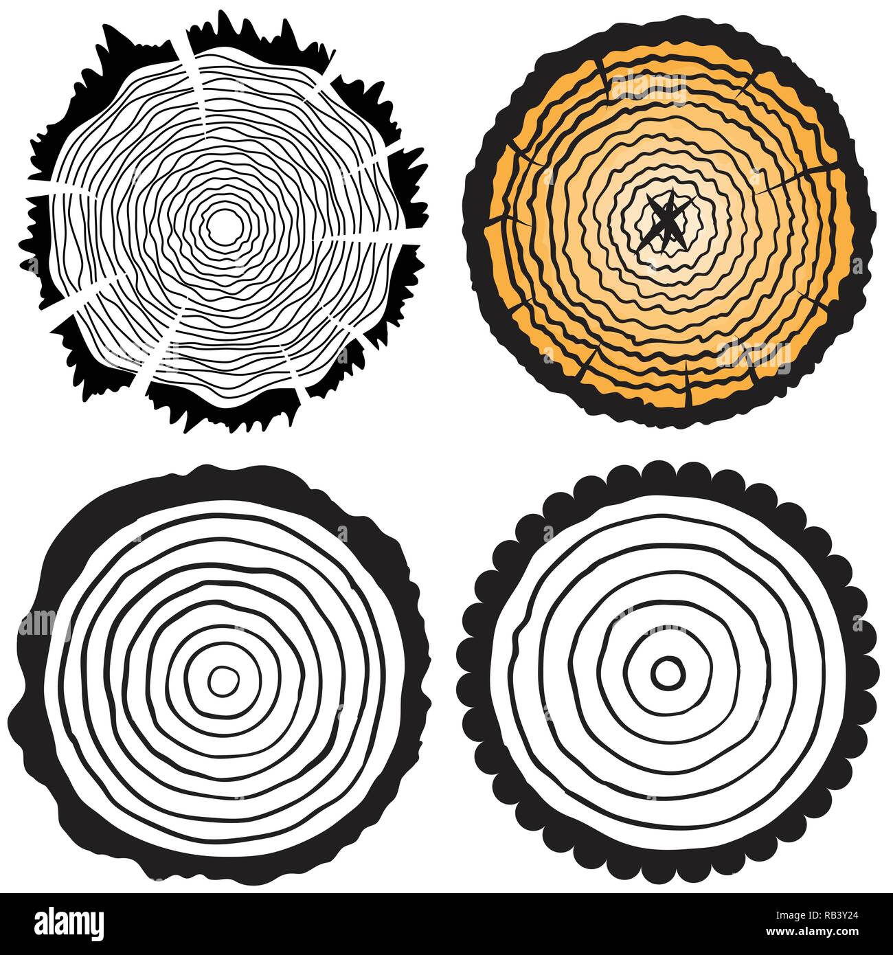 Tree Rings Design