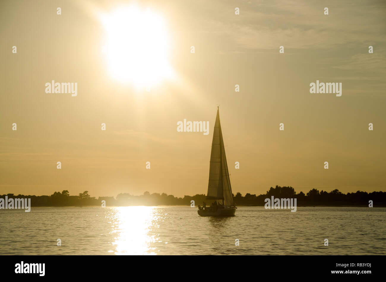 Modern sailing boat white hi-res stock photography and images - Alamy